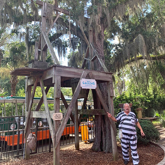 Nothing says "don't break the law" quite like a wooden gallows standing ominously among Spanish moss. Florida's original deterrence program.