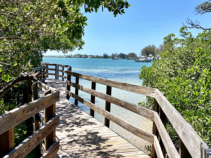The boardwalk frames a postcard-perfect view of crystal-clear waters, where the mangroves seem to be dipping their toes for a refreshing soak.