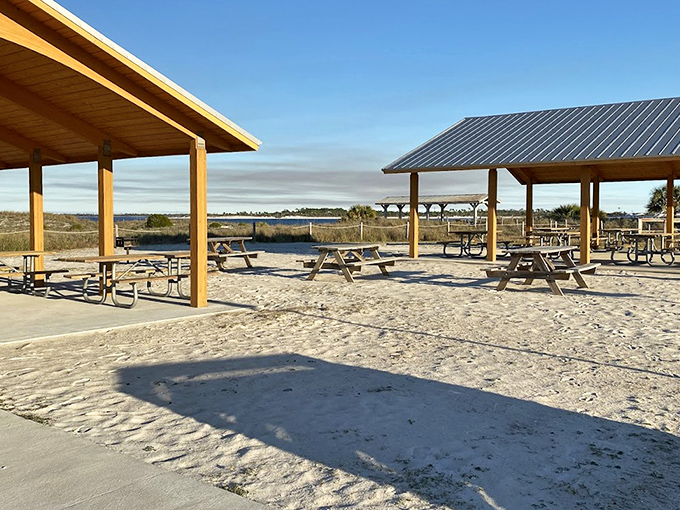 Covered picnic areas offer shaded respite from the Florida sun, turning simple sandwiches into five-star dining experiences with million-dollar views.