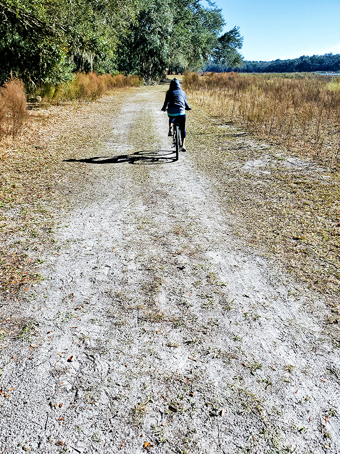 A solitary cyclist disappears down the sun-drenched trail, pedaling through a corridor where history and nature embrace.