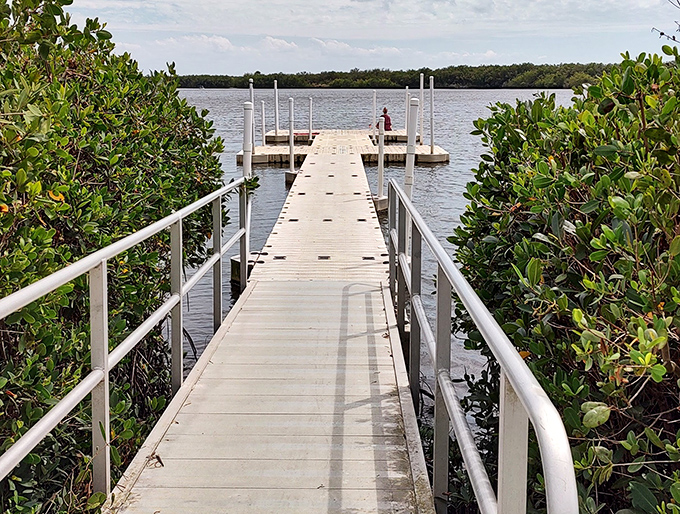 This serene boardwalk belies what awaits &ndash; it's like nature's version of a deceptively calm movie intro before the action sequence begins.