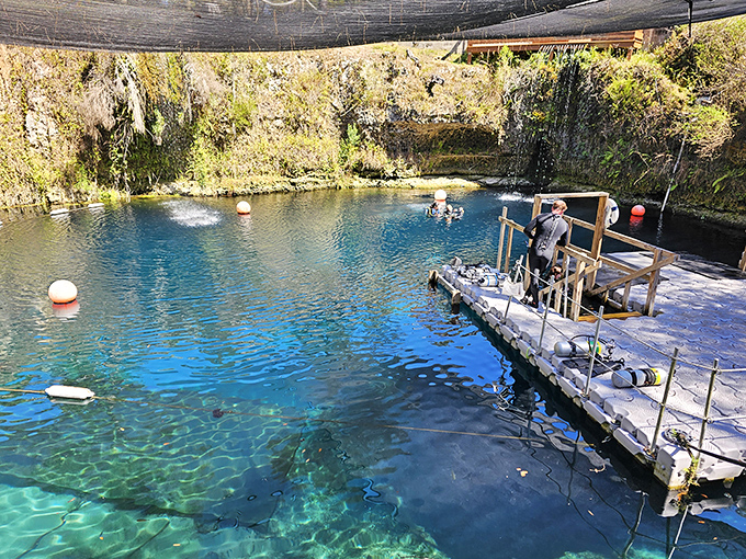 Where adventure meets tranquility&mdash;Blue Grotto's dive resort combines professional facilities with the laid-back vibe that makes Florida special.