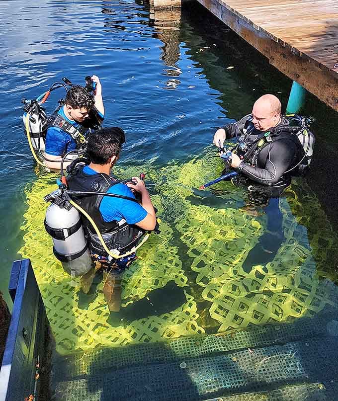 Divers prepare to descend to the underwater habitat, their excitement bubbling as visibly as the air from their regulators.