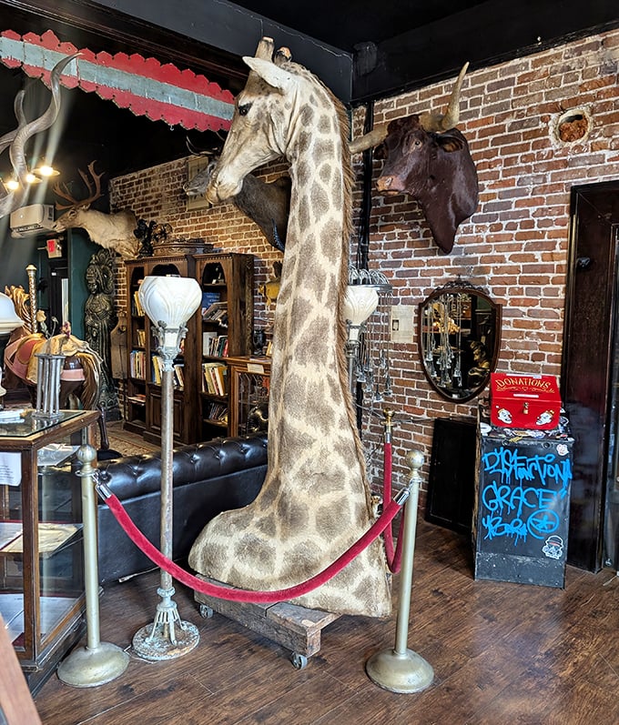 A full-sized giraffe stands guard, because apparently regular security systems just weren't quirky enough for this establishment.