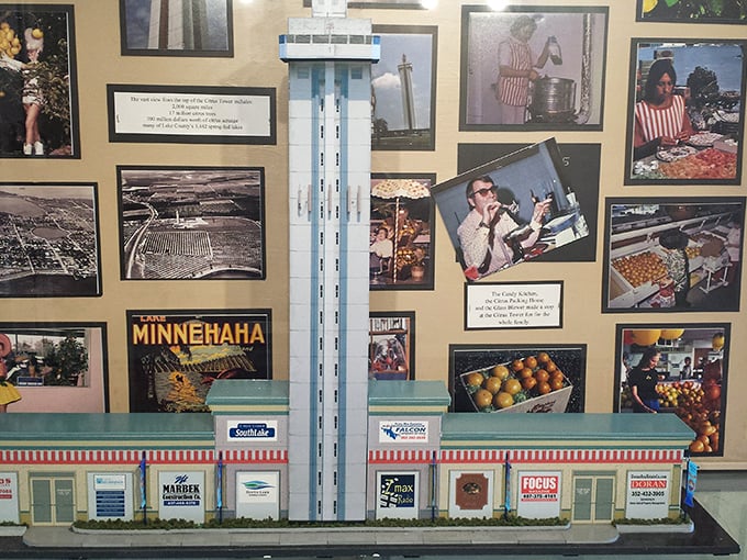 Historical photos tell the story of Florida's transformation from citrus kingdom to tourist paradise, a visual journey through time.