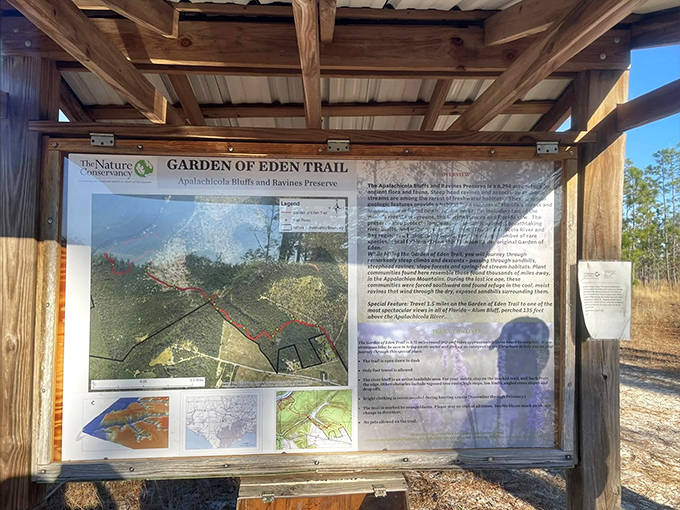 This information board tells the story of ecological treasures hiding in plain sight &ndash; Florida's version of a natural treasure map.