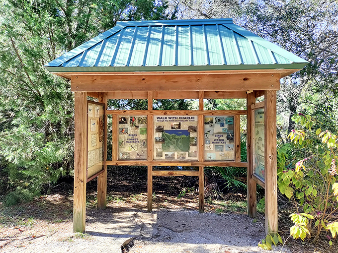 Knowledge center in the wilderness &ndash; this charming kiosk shares the park's secrets with curious explorers.