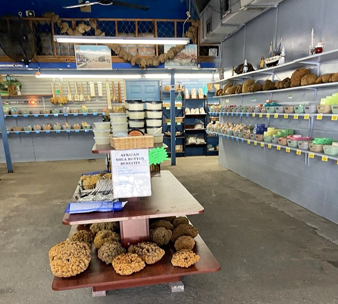 The interior reveals a sponge wonderland where every shelf tells a story of oceanic treasures and Greek heritage.