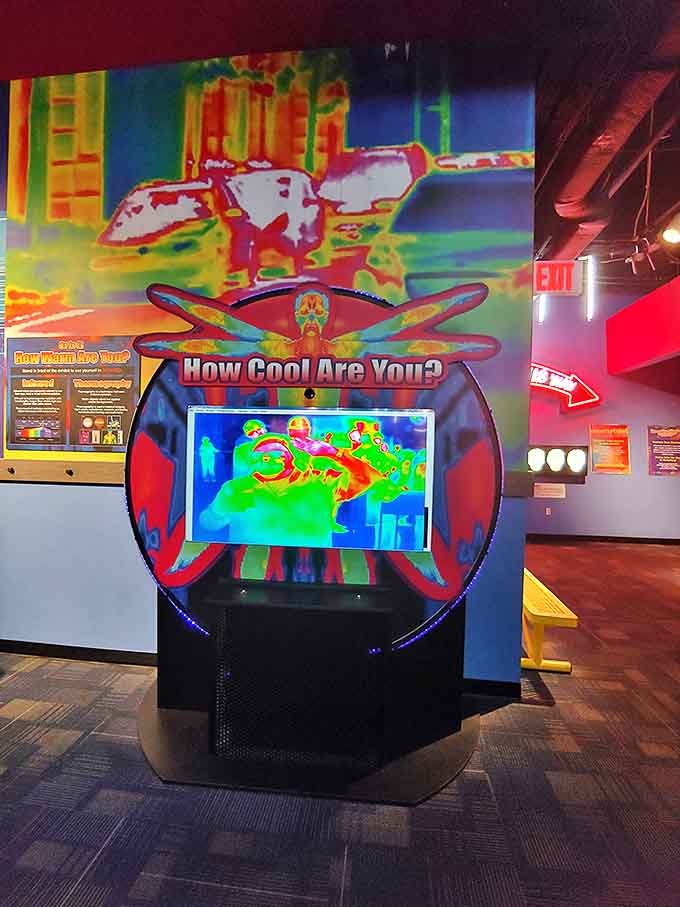 How Cool Are You? The thermal camera doesn't lie, transforming visitors into walking heat maps that reveal who's truly the coolest in the family.