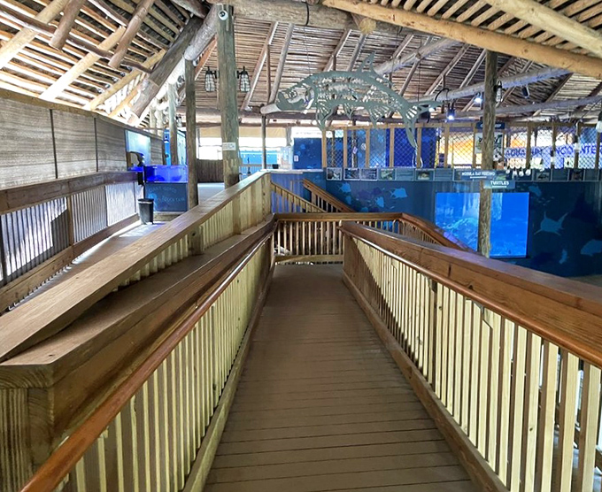 Wooden walkways guide visitors through the facility, offering views into various marine habitats from comfortable observation points.