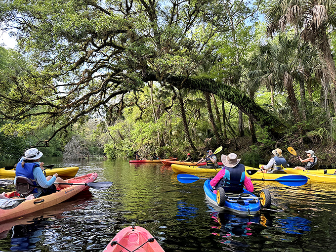 Rainbow armada: colorful kayaks glide beneath arching trees, as paddlers discover Florida's wild heart from a perspective few ever experience.