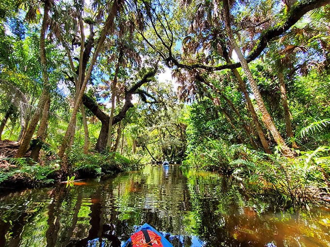Gliding through mirror-like waters surrounded by primeval Florida wilderness offers a perspective the Koreshans themselves would have enjoyed daily.