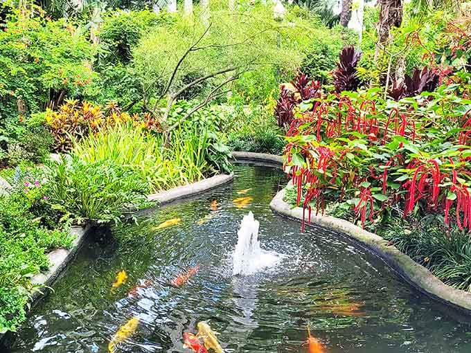 Golden koi glide beneath the surface like living jewels, creating ripples around a delicate fountain in this tranquil water garden.