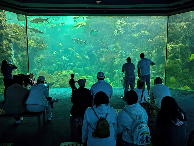The massive coral reef display creates a living painting that changes by the minute &ndash; Mother Nature showing off her interior design skills.