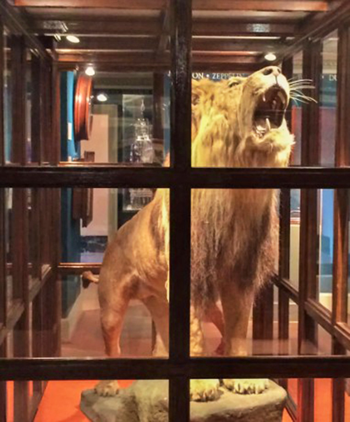 Behind glass but still commanding attention, Rota's exhibit creates an unexpected moment of historical connection for museum visitors.