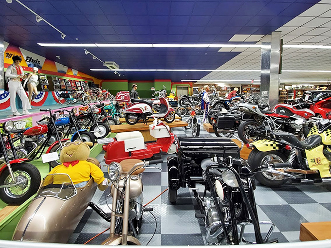 Two-wheeled treasures lined up like mechanical candy. From vintage Harleys to quirky oddities, the motorcycle collection delivers pure joy.