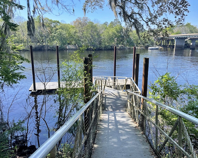 New boardwalk: Engineering meets ecology on this elevated pathway, offering dry-footed access to wetland wonders without disturbing delicate ecosystems.