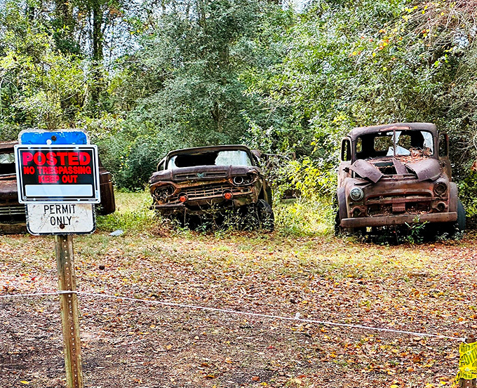 That "Posted Keep Out" sign means business, reminding visitors that this automotive wonderland is private property requiring permission to explore and photograph.