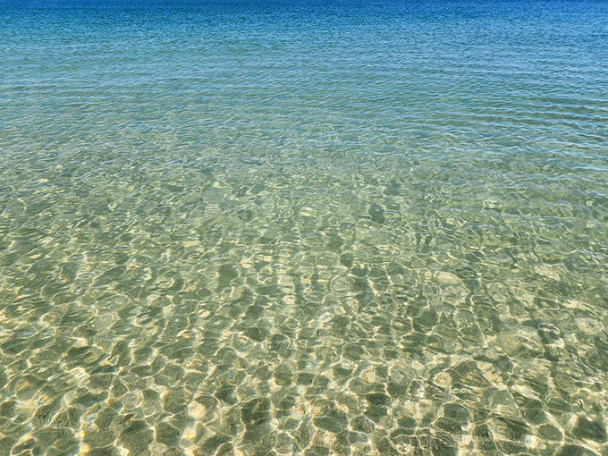 Crystal clarity that makes you question reality &ndash; Gasparilla's waters are so transparent you can count fish without getting your hair wet.