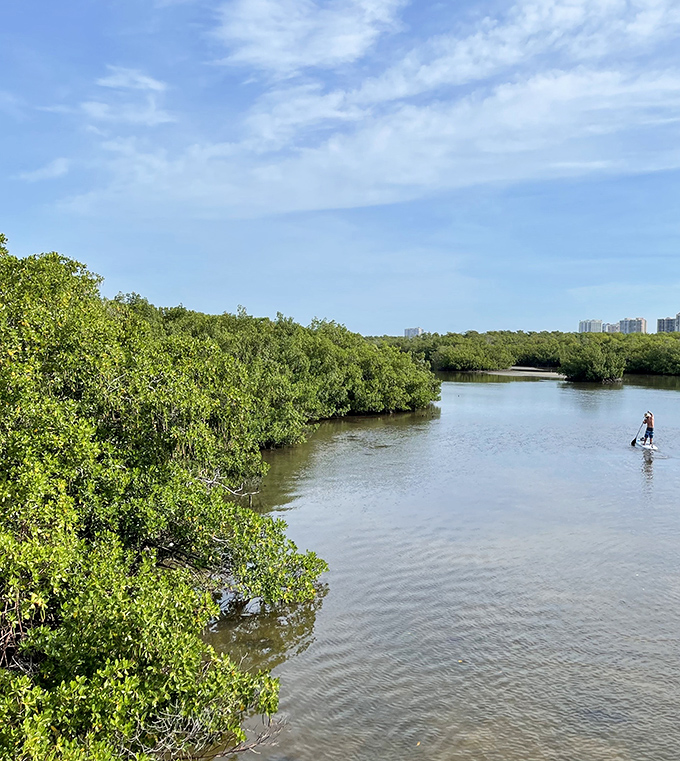 A lone paddleboarder glides through mangrove-lined waterways, finding solitude and connection with nature just minutes from Naples' urban amenities.