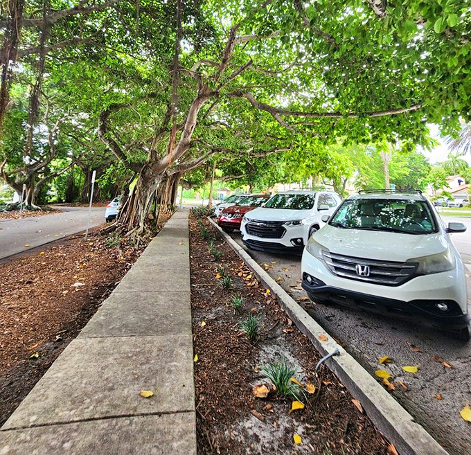 Even the parking area maintains the charm, with ancient banyan trees providing natural canopies for vehicles lucky enough to snag a spot.