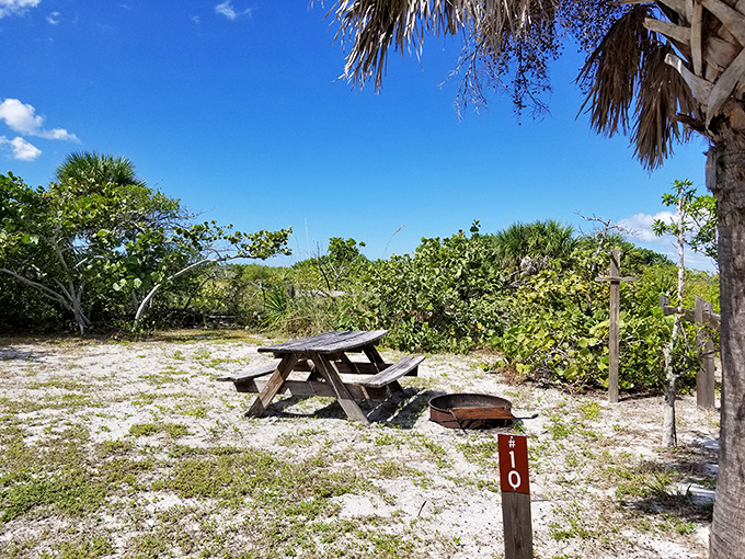 This simple picnic area offers million-dollar vistas without the resort price tag – just bring your sandwich and prepare to be wowed.