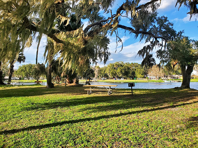 Picnic perfection: Spanish moss frames this riverside spot where sandwiches somehow taste better than at your kitchen table.