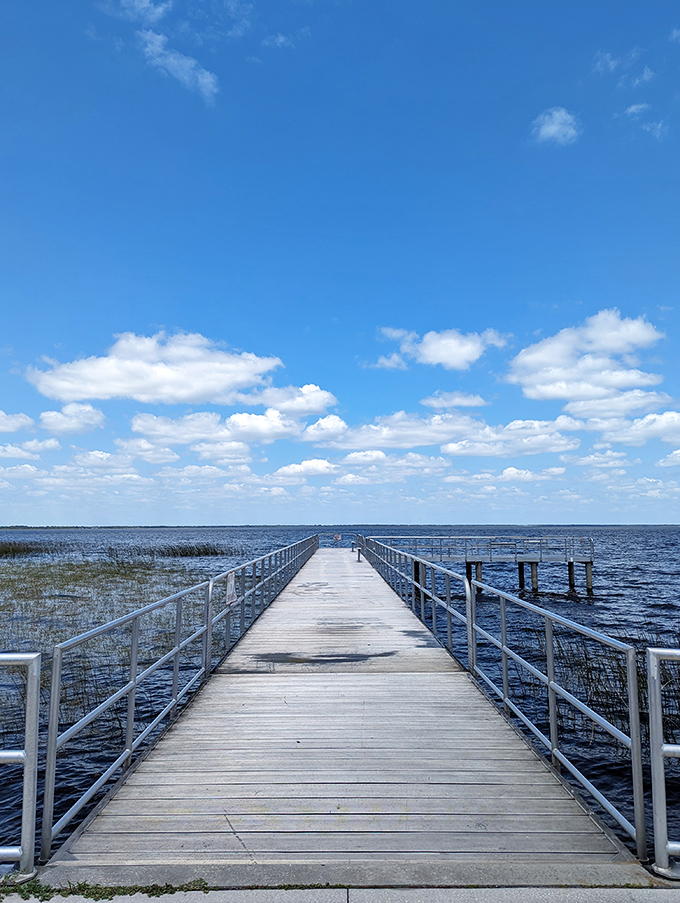 The wooden pier stretches toward the horizon like an invitation, beckoning visitors to venture further into East Lake Toho's serene embrace.