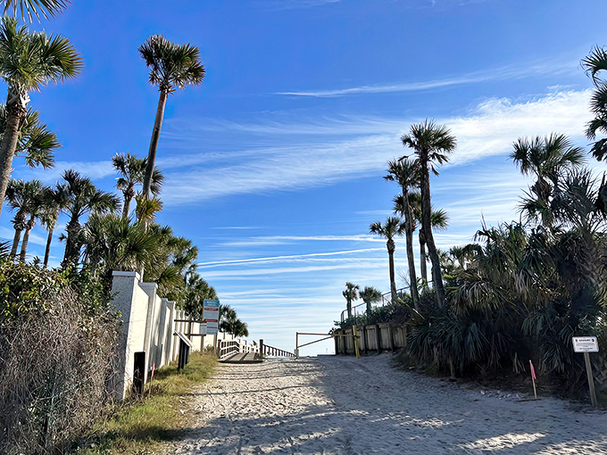 The path to paradise winds between swaying palms, a sandy invitation to Mickler's Landing's shell-strewn shores.