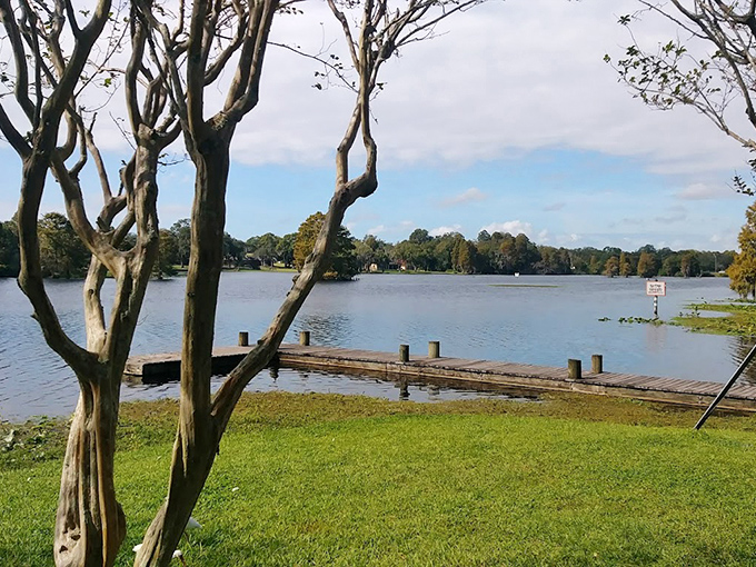 Morning mist rises from the water like spirits dancing, creating an ethereal landscape that feels borrowed from a fantasy novel.