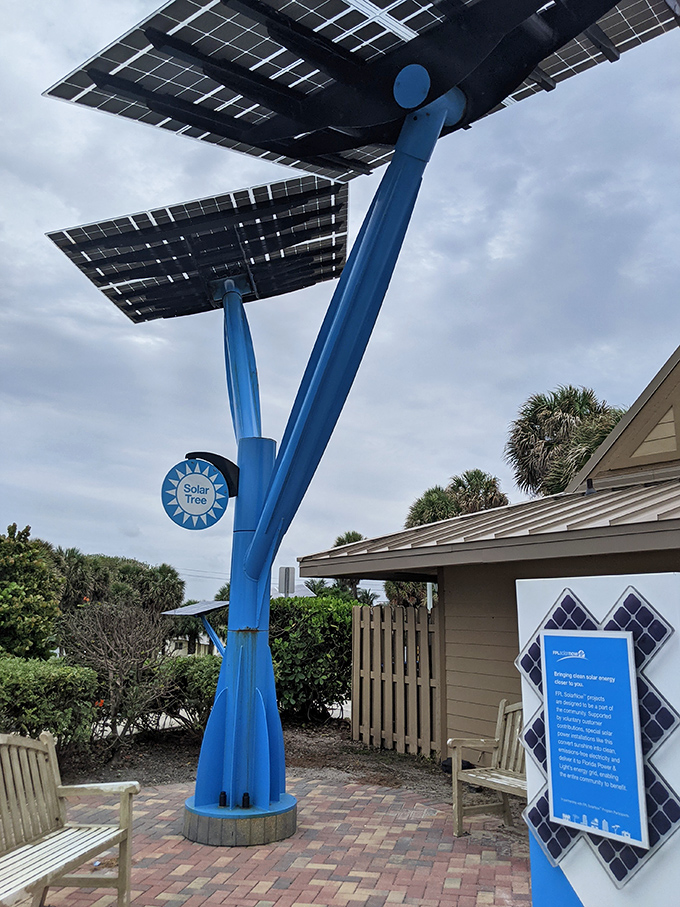 Innovation meets beauty with these solar trees &ndash; capturing sunshine to power the park while providing landmarks for lost beachgoers.