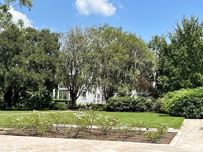 A wooden observation deck offers panoramic views of Lake Rowena, where the Orlando skyline creates a surprising urban backdrop to this natural sanctuary.
