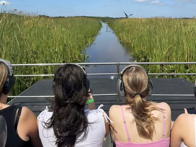 Towering sawgrass creates natural corridors through the wetlands, where airboats navigate channels that have remained unchanged for centuries.