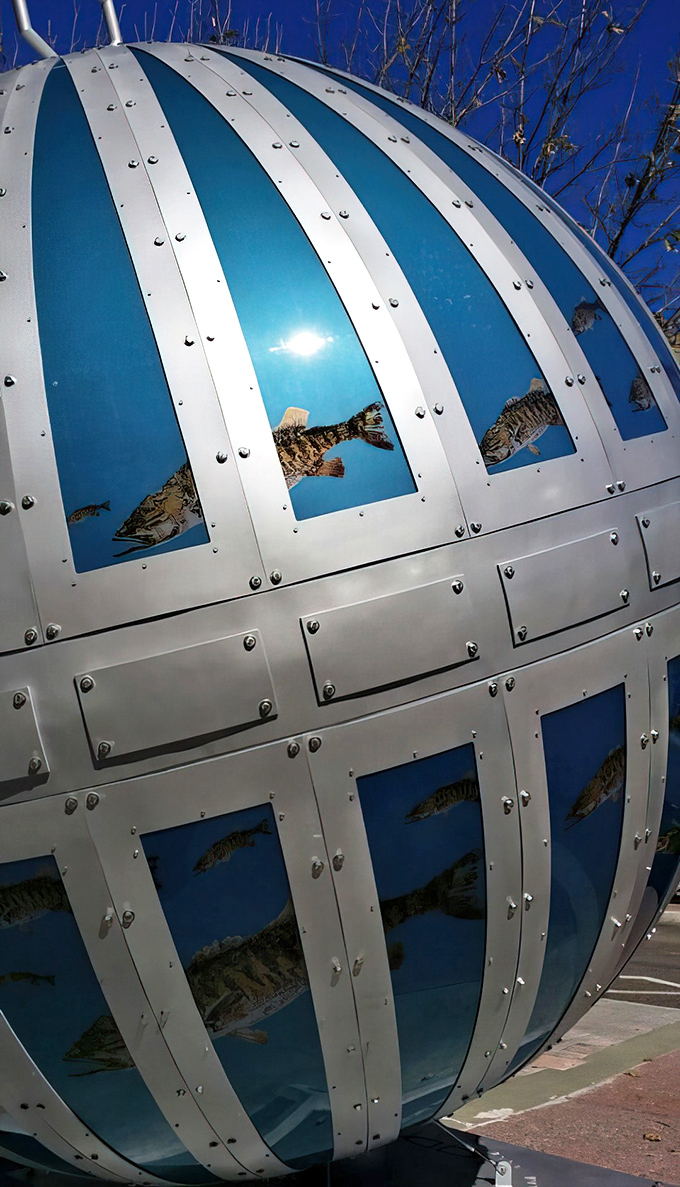 The fish images embedded within the blue panels are so realistic, you'll find yourself doing a double-take, half-expecting them to swim away.