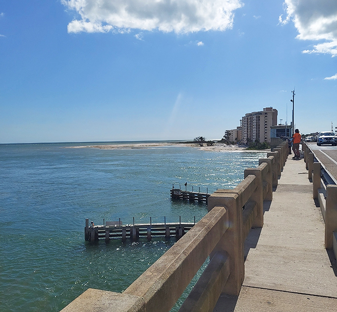 Where engineering meets natural beauty, offering pedestrians a front-row seat to Florida's coastal splendor.