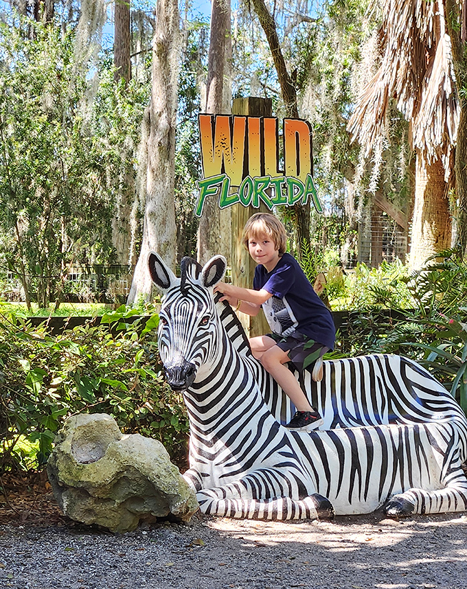 A young visitor enjoys a photo opportunity with the park's zebra statue, creating memories that will outlast any theme park souvenir.
