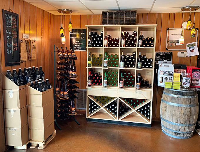 The well-stocked wine racks showcase the diversity of offerings, from traditional muscadine varieties to innovative fruit-infused creations.