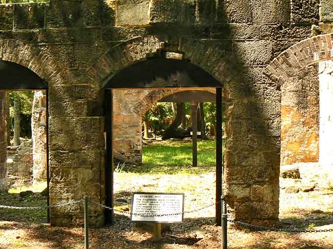 Towering chimneys and stone walls rise dramatically from the forest floor at Bulow Plantation Ruins.