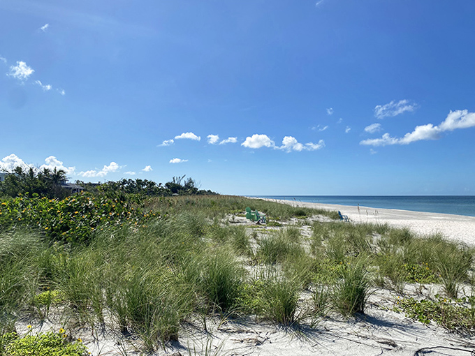 Wind-brushed dunes and wide-open sky showcase Captiva’s wilder side, offering a peaceful retreat along its sunlit shoreline.