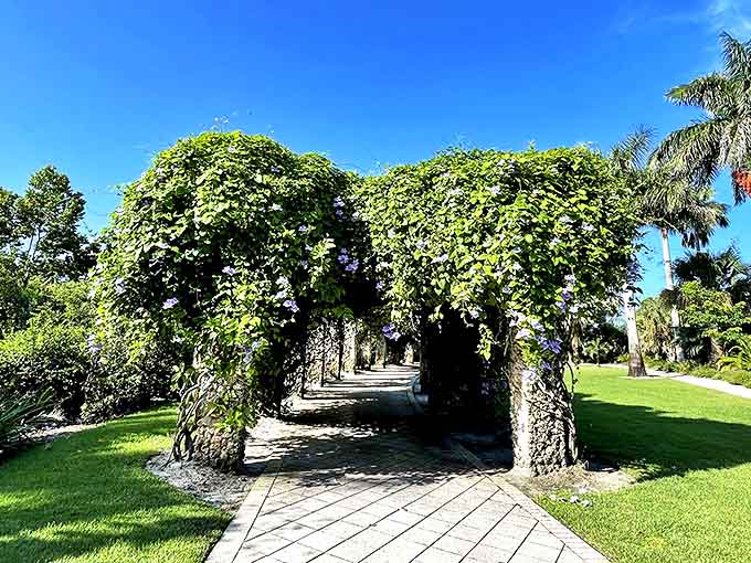 That vine-covered archway creates a tunnel that leads to who knows what magical garden beyond.