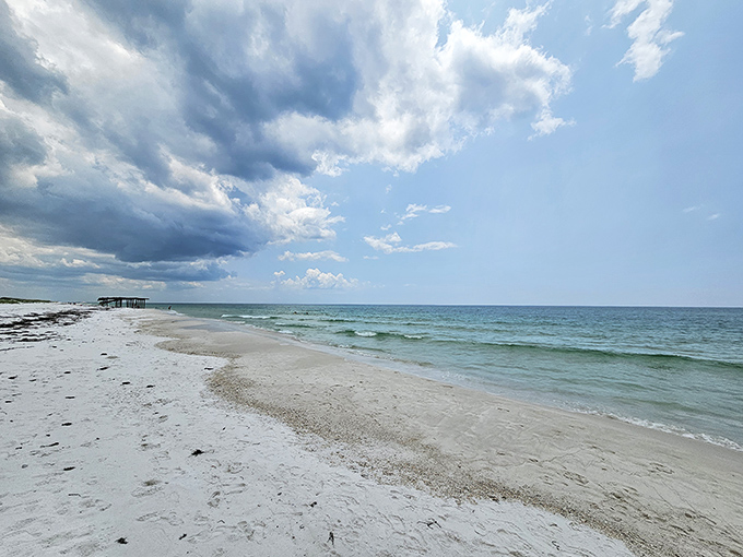 Dramatic skies, delicate finds! Shell Island holds countless treasures beneath Renaissance-worthy cloud formations.