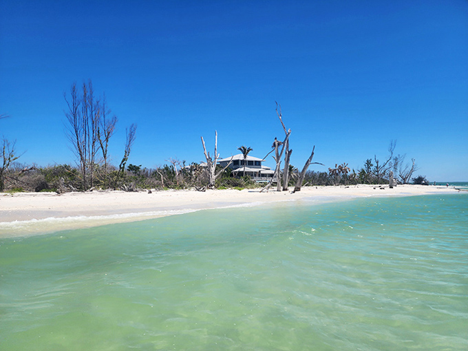 Gentle waves roll across glassy water toward Captiva’s quiet shoreline, where sun, sand, and weathered trees shape a serene escape.