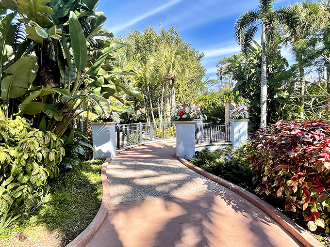 Welcome to the Florida Botanical Gardens! This sunny path surrounded by lush, tropical plants is the perfect entrance.