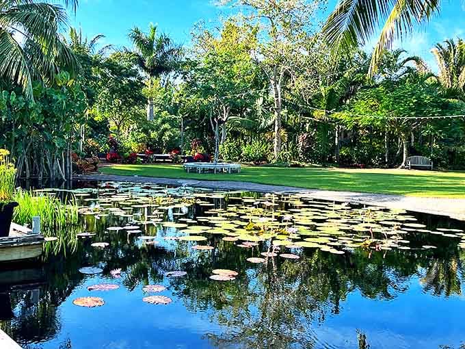 This lily pad pond reflects the sky like a mirror that fish happen to live in.