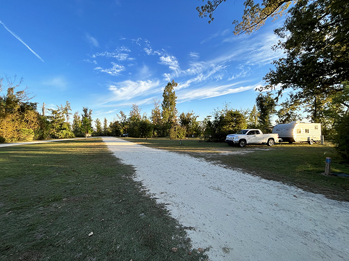 Multi-level walkways wind through Torreya's forest, offering accessible adventures through one of Florida's most unique ecosystems.