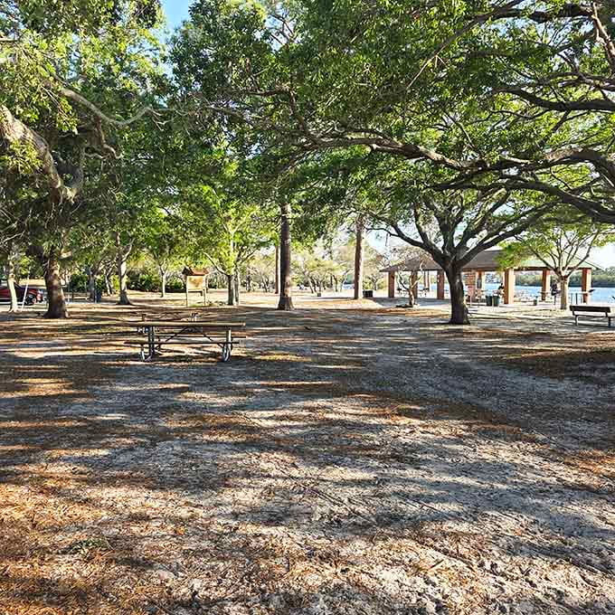 Picnic tables scattered under oak trees create outdoor dining rooms where the ambiance is unbeatable and the dress code is gloriously casual.