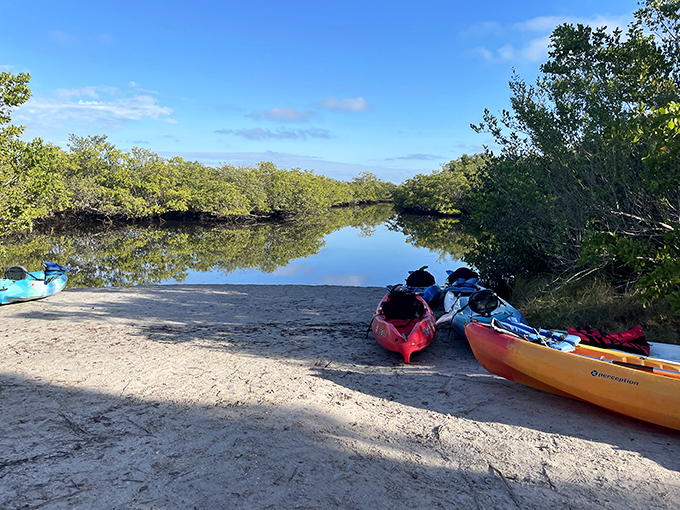 Colorful kayaks await adventure at the boat launch. These floating chariots are your ticket to Robinson Preserve's most secluded corners.