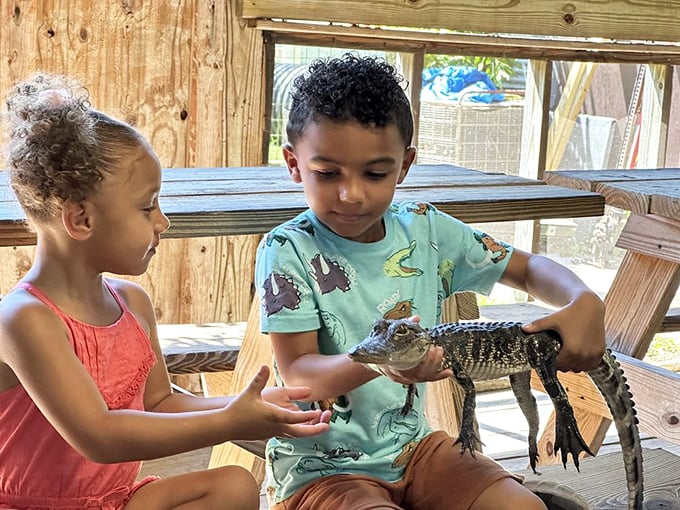 These young wildlife enthusiasts are learning that baby alligators are surprisingly cute &ndash; right before learning that mom and dad are definitely not.