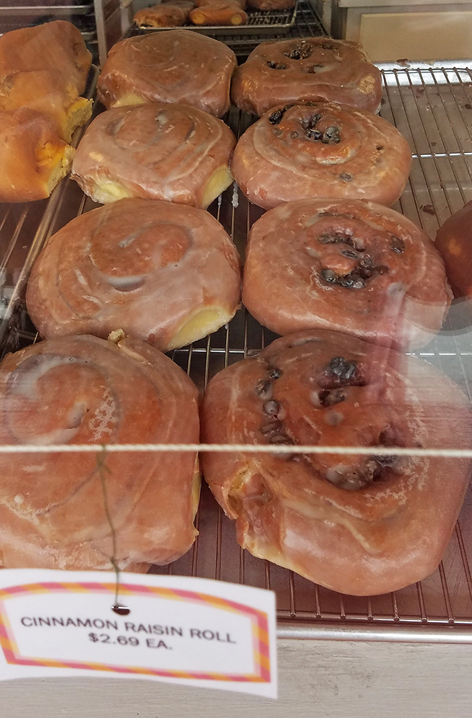 Cinnamon rolls lined up like soldiers ready for delicious duty, their swirls promising pockets of spiced sugar in every heavenly bite.