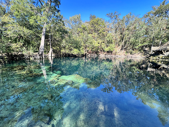 The spring's remarkable clarity reveals an underwater world where fish dart between sunbeams like living jewels.